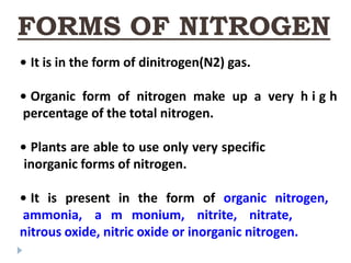 Nitrogen cycle by Himanshu Asati | PDF