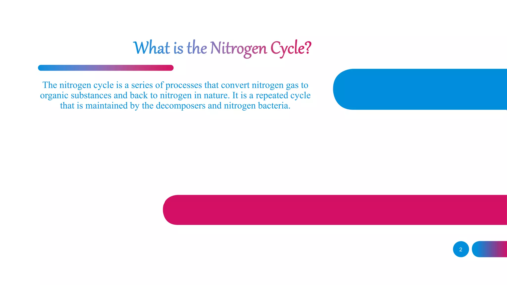NITROGEN CYCLE envi.pptx