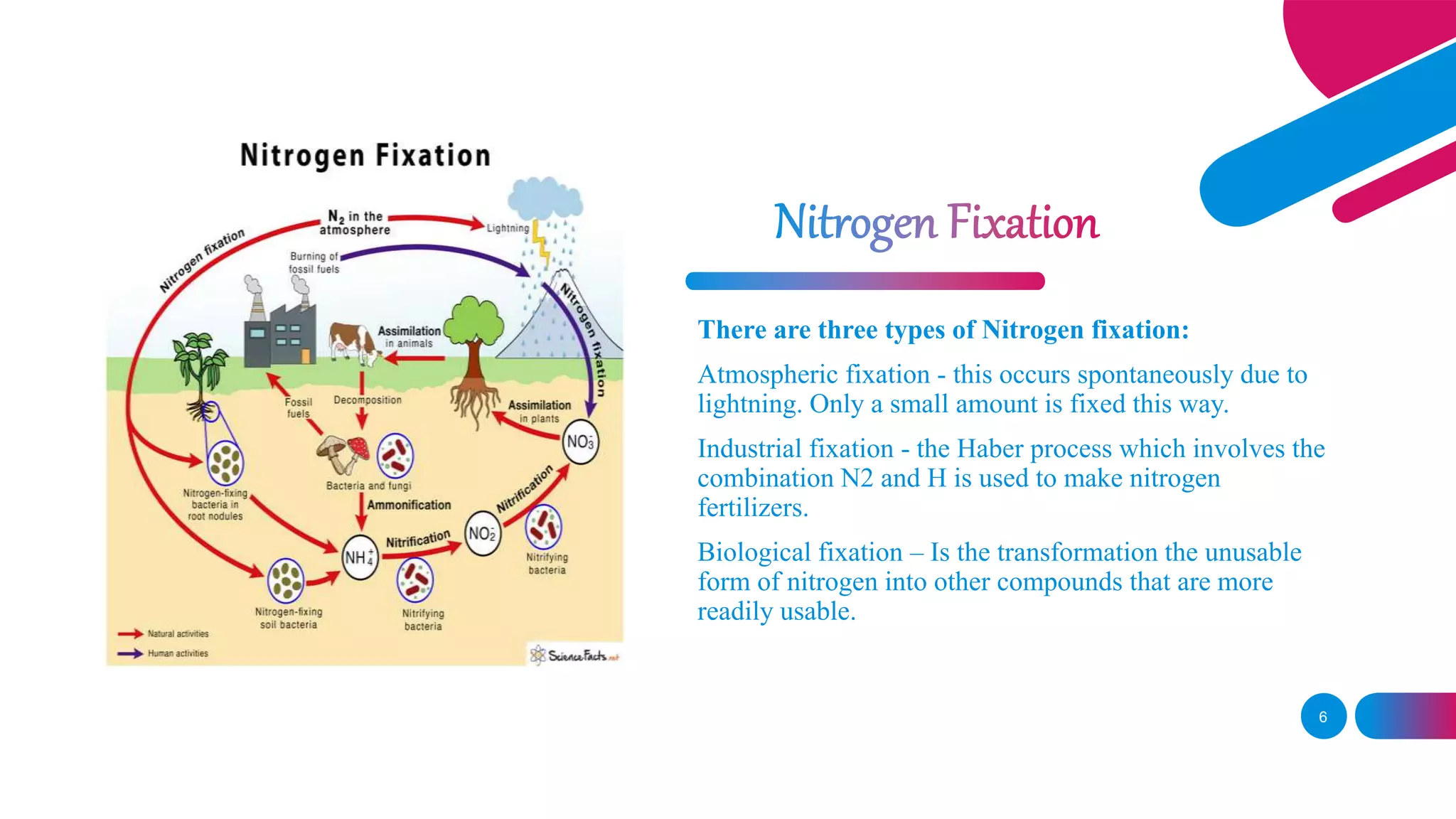 NITROGEN CYCLE envi.pptx