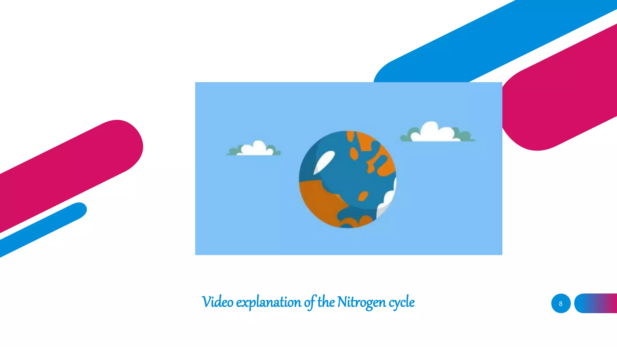 NITROGEN CYCLE envi.pptx