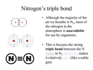 Nitrogen Cycle final for envirinmen.pptx