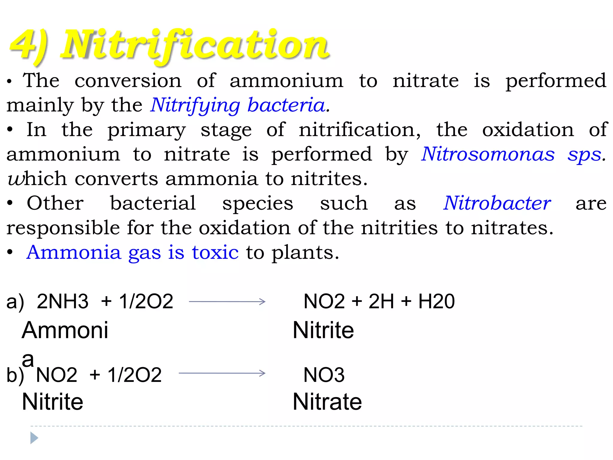 Nitrogen cycle | PPTX