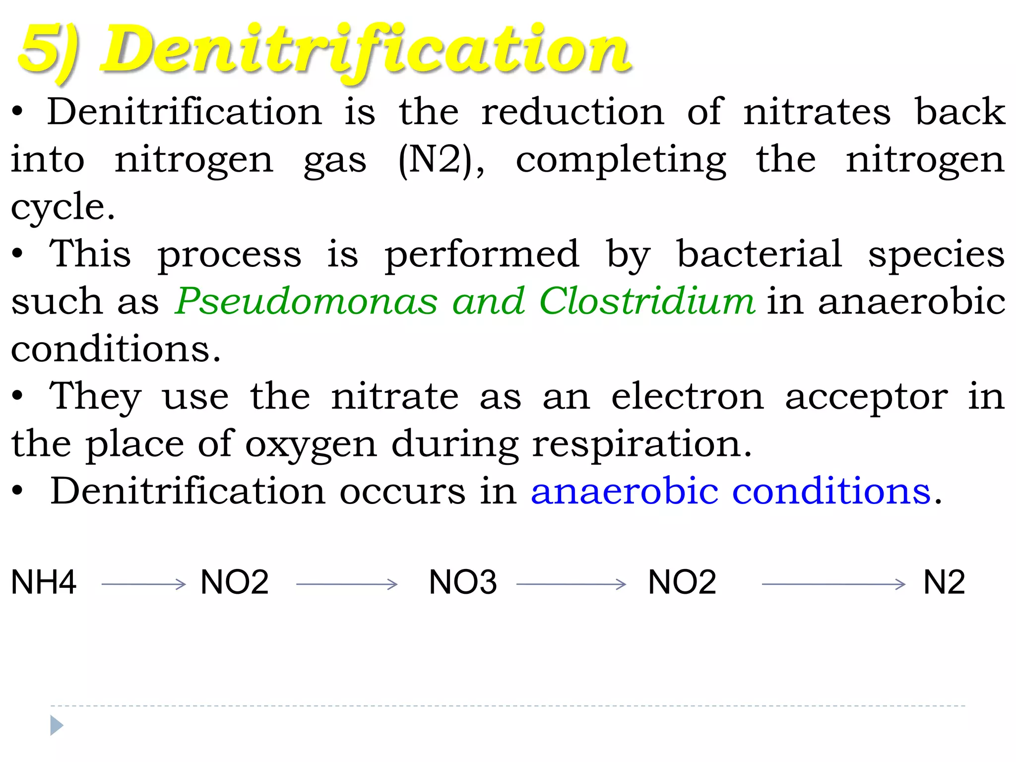 Nitrogen cycle | PPTX