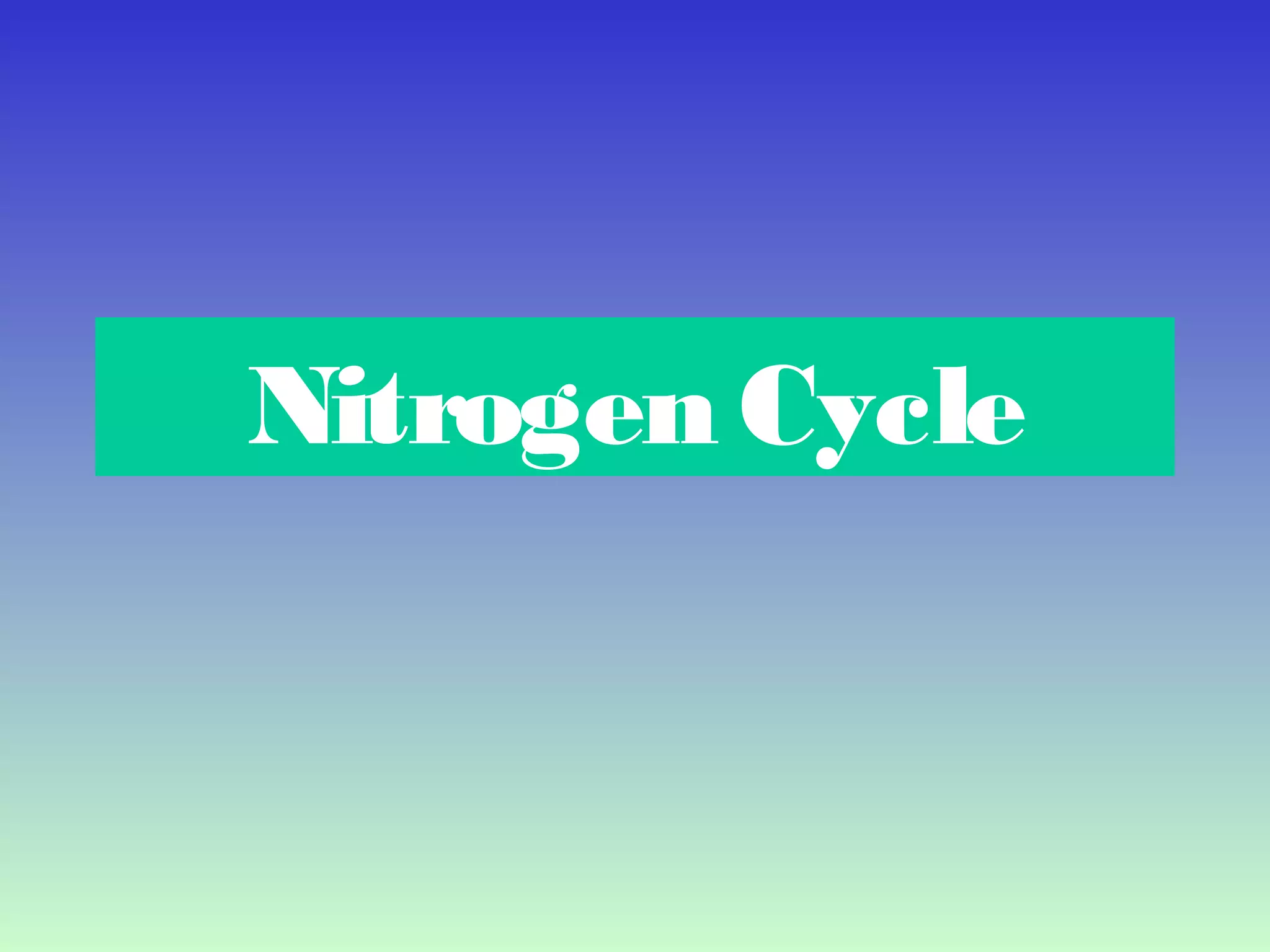 Nitrogen cycle (ppt presentation) | PPT