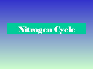 Nitrogen cycle (ppt presentation) | PPT