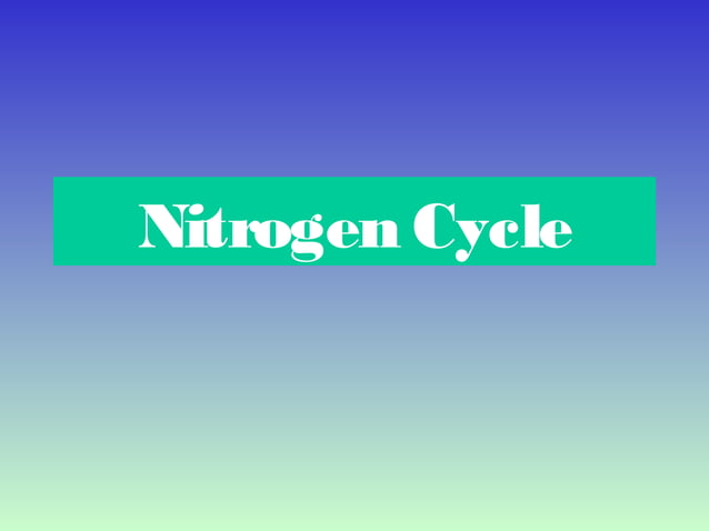 Nitrogen cycle (ppt presentation) | PPT | Chemistry | Science