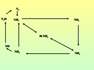 Nitrogen cycle (ppt presentation) | PPT