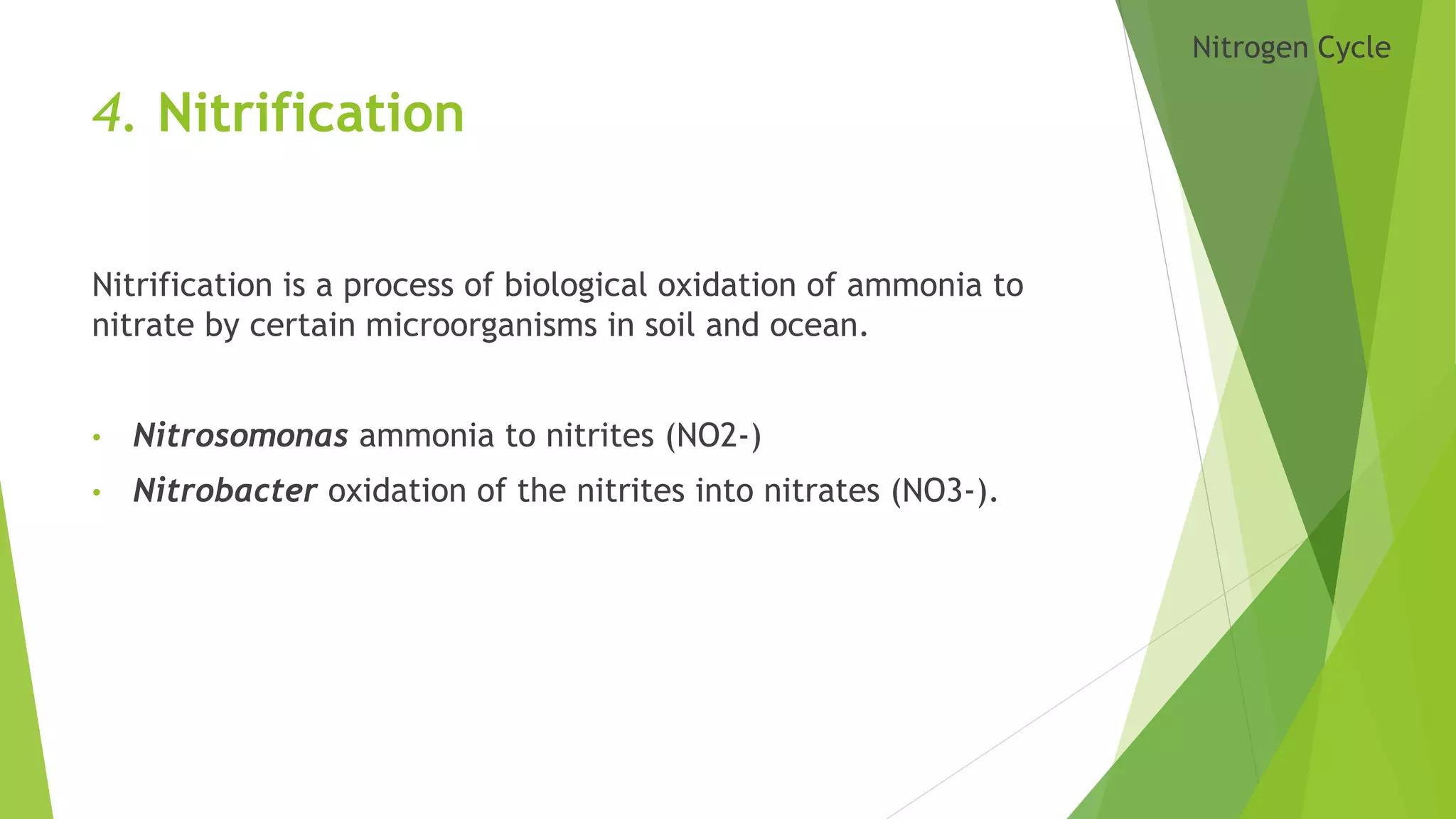 Nitrogen cycle(presentation) by Rysul | PPTX