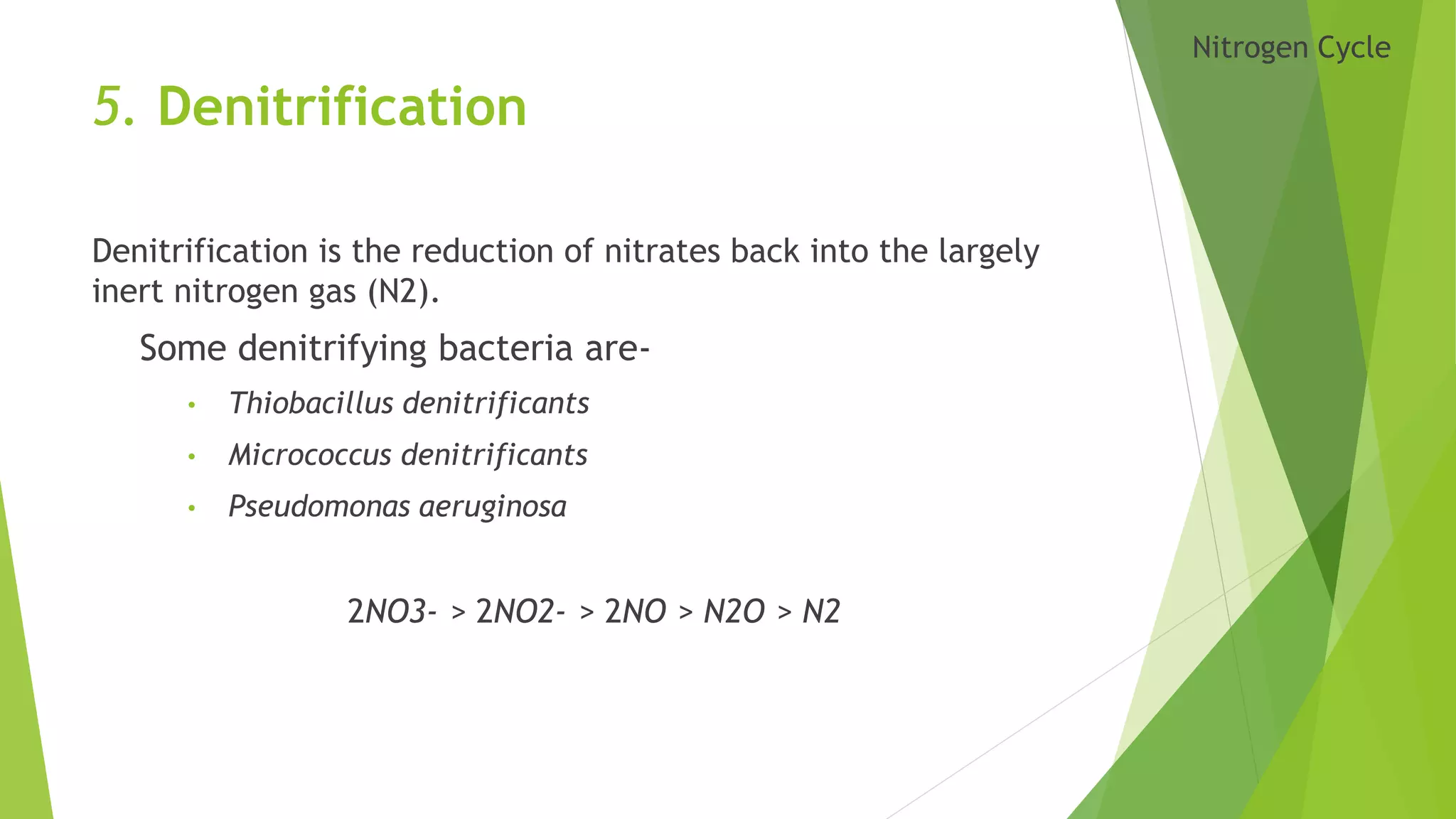 Nitrogen cycle(presentation) by Rysul | PPTX