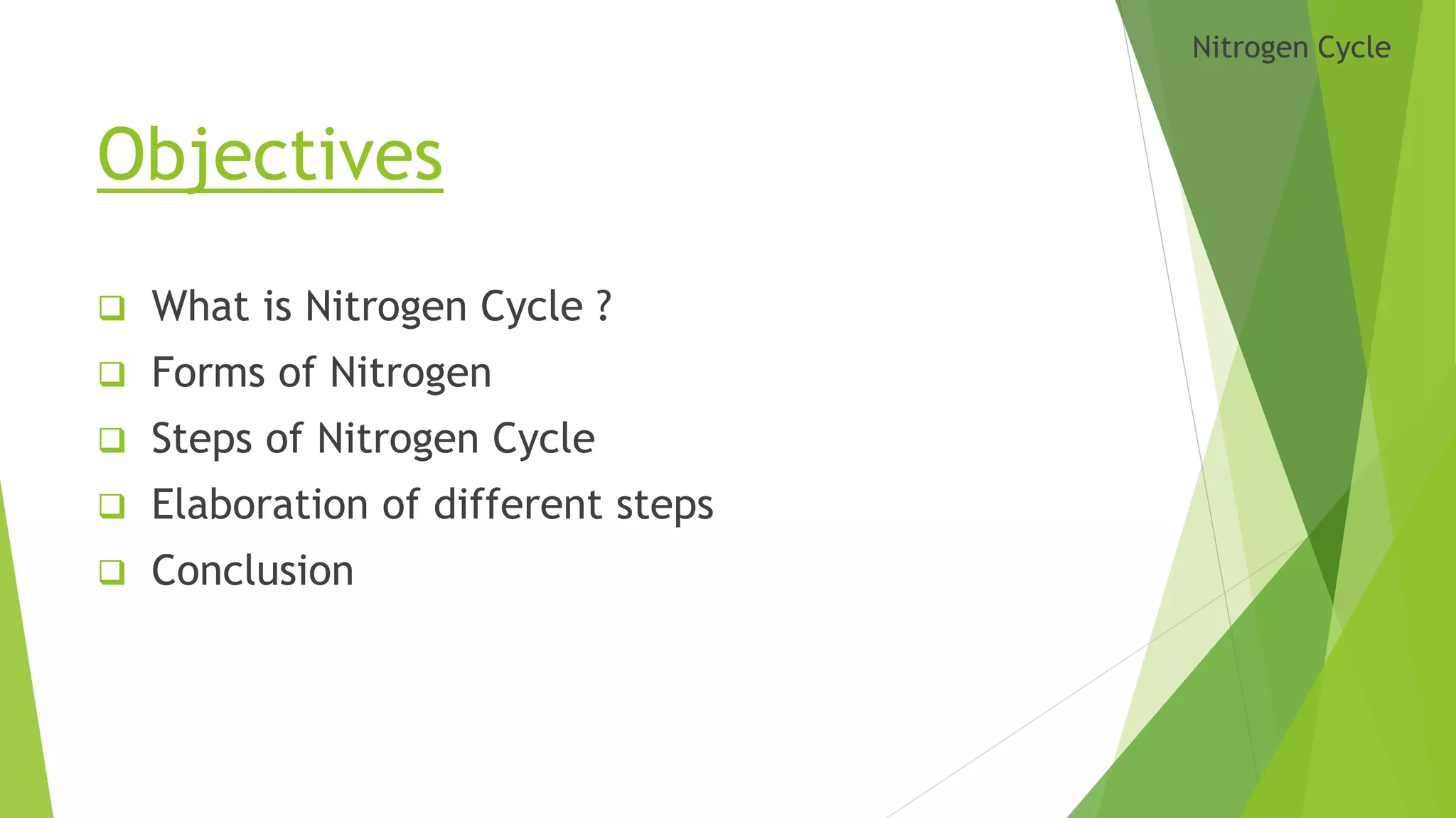 Nitrogen cycle(presentation) by Rysul | PPTX