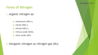 Nitrogen cycle(presentation) by Rysul | PPTX