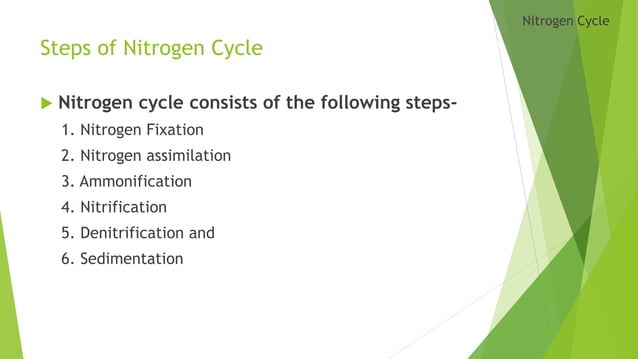 Nitrogen cycle(presentation) by Rysul | PPTX
