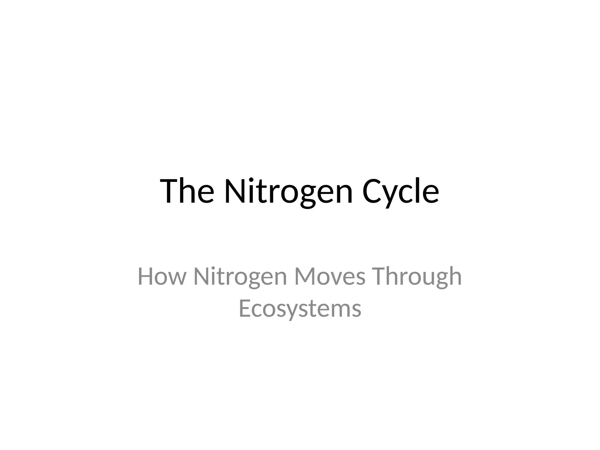 Nitrogen_Cycle_Presentation FOR CAPE BIOLOGY | PPT