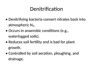Nitrogen_Cycle_Presentation.pptx Processes: Nitrogen Fixation ...