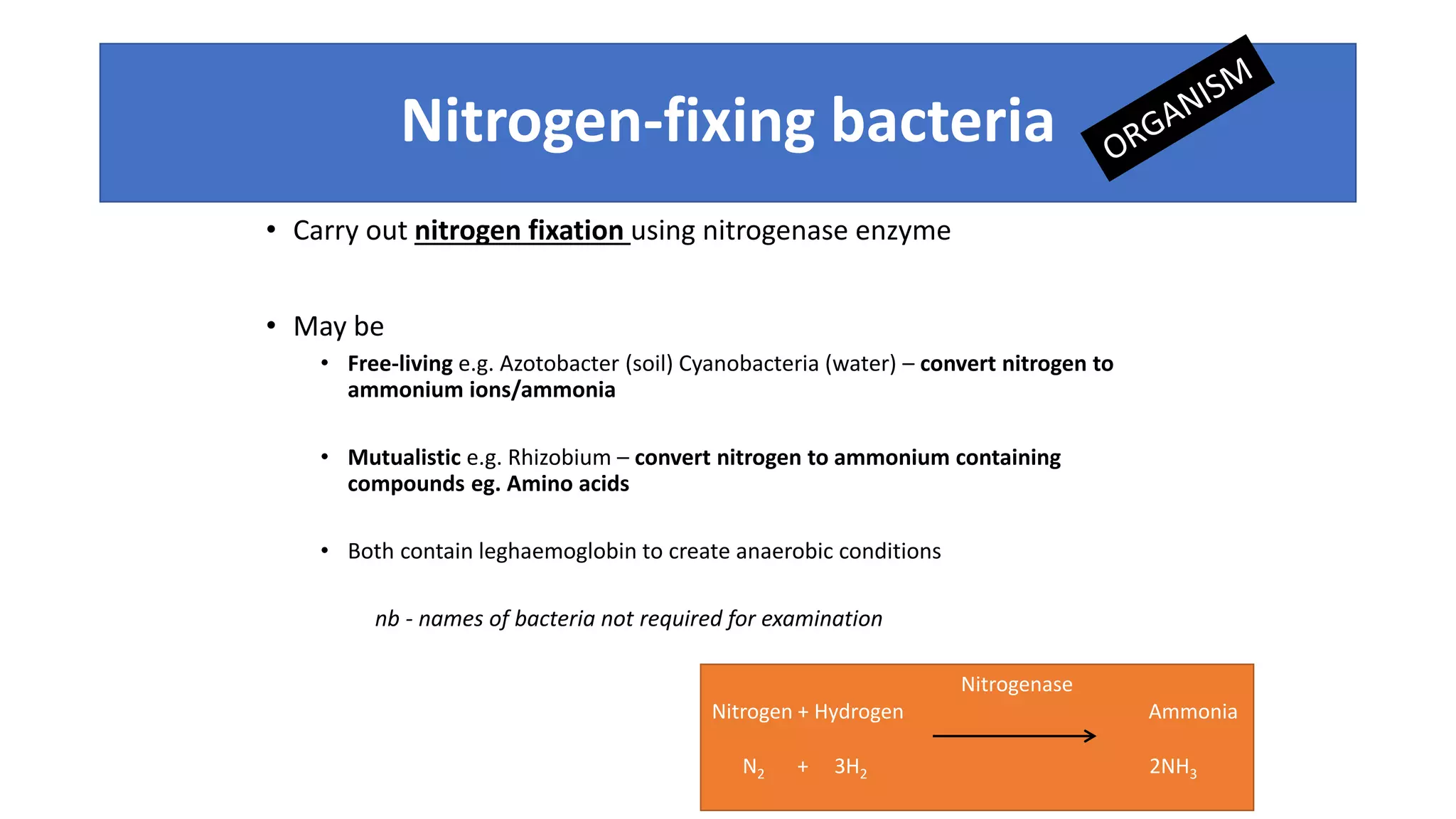 Nitrogen cycle student slides.pptx