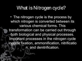 Nitrogen cycle Cambridge IGCSE Biology | PPT