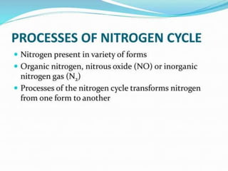 Nitrogen cyle and process and works.pptx