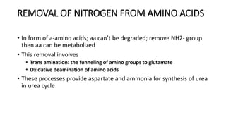 Nitrogen Disposal | PPTX