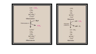 Nitrogen Disposal | PPTX