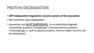 Nitrogen Disposal | PPTX