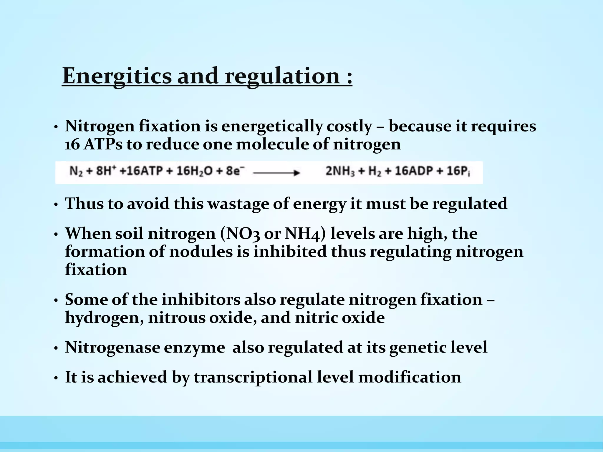 Nitrogen fixation | PPTX
