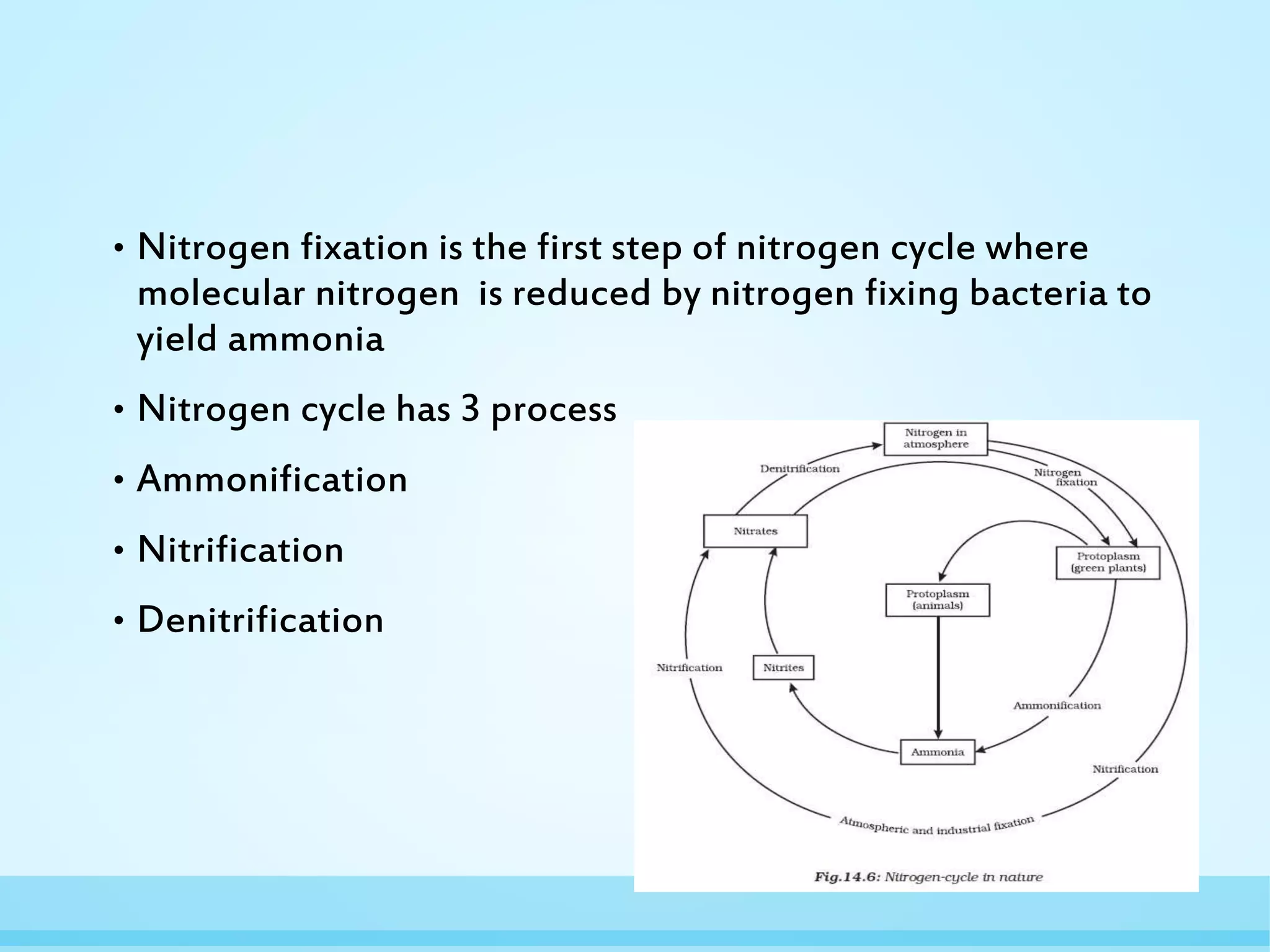 Nitrogen fixation | PPTX