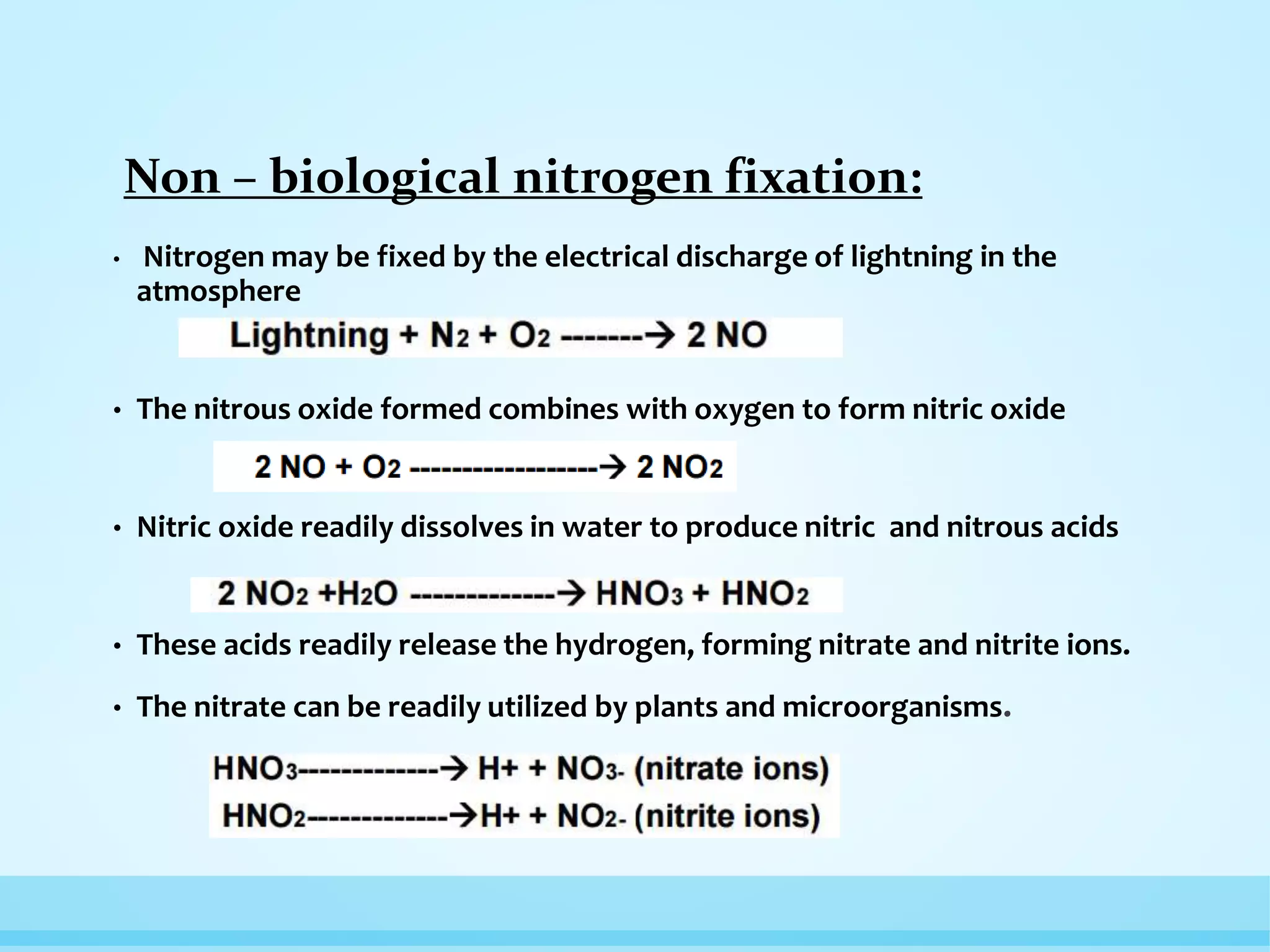 Nitrogen fixation | PPTX