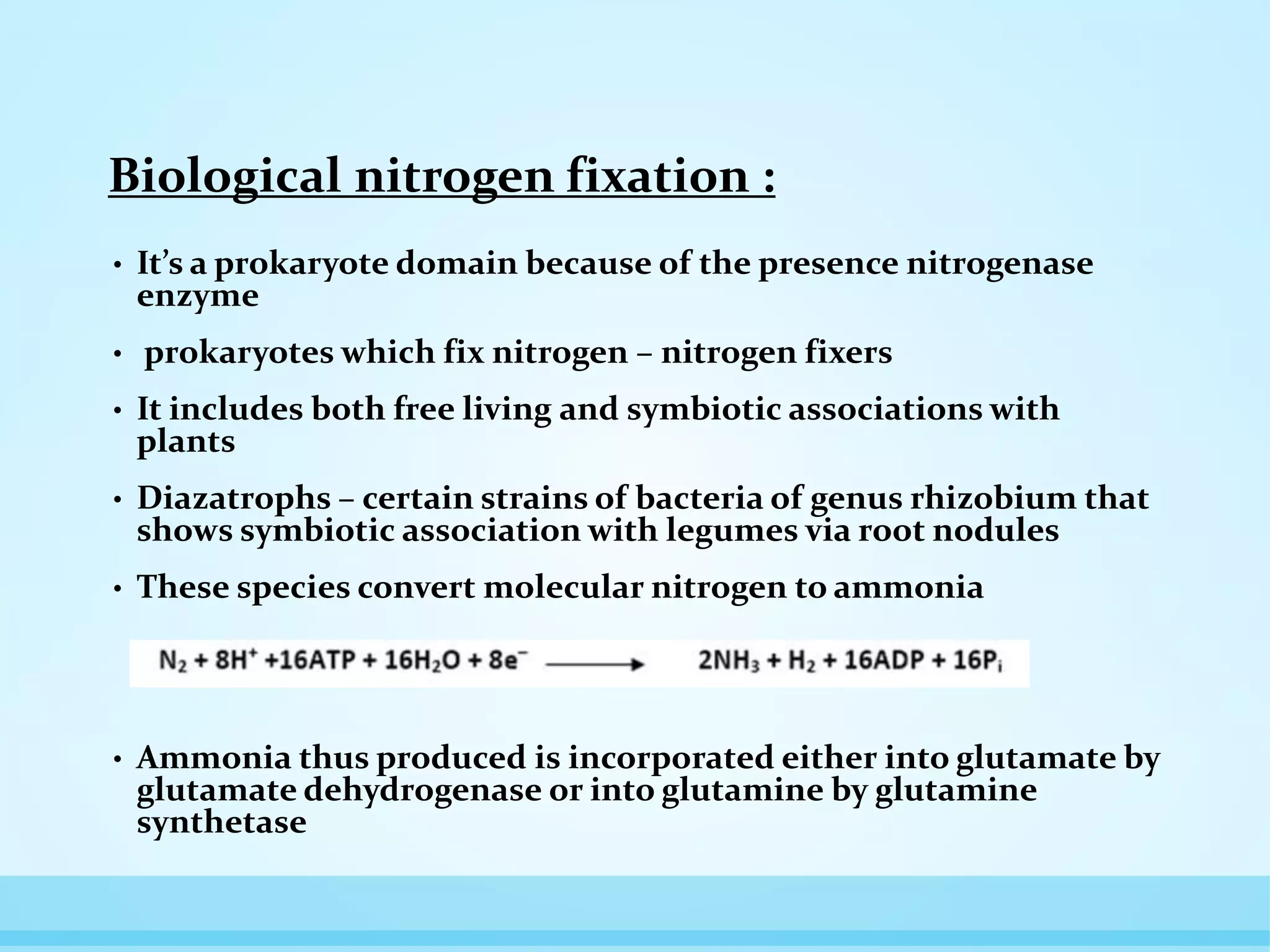 Nitrogen fixation | PPTX
