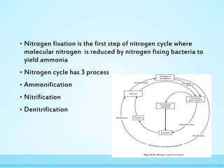 Nitrogen fixation | PPTX