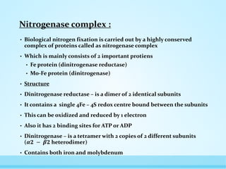 Nitrogen fixation | PPTX