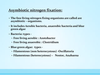 Symbiotic Nitrogen Fixation