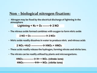 Nitrogen Fixation By Lightning