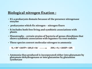 Nitrogen Fixation Definition