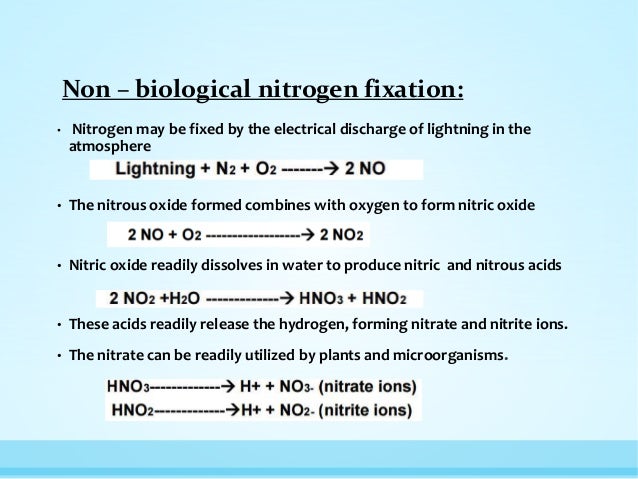 Nitrogen fixation