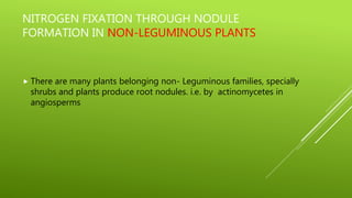 Nitrogen fixation | PPTX