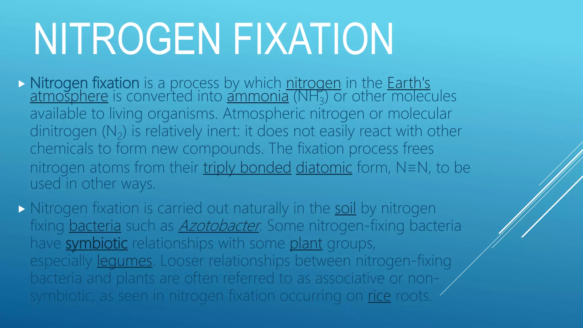 Nitrogen fixation, | PPT