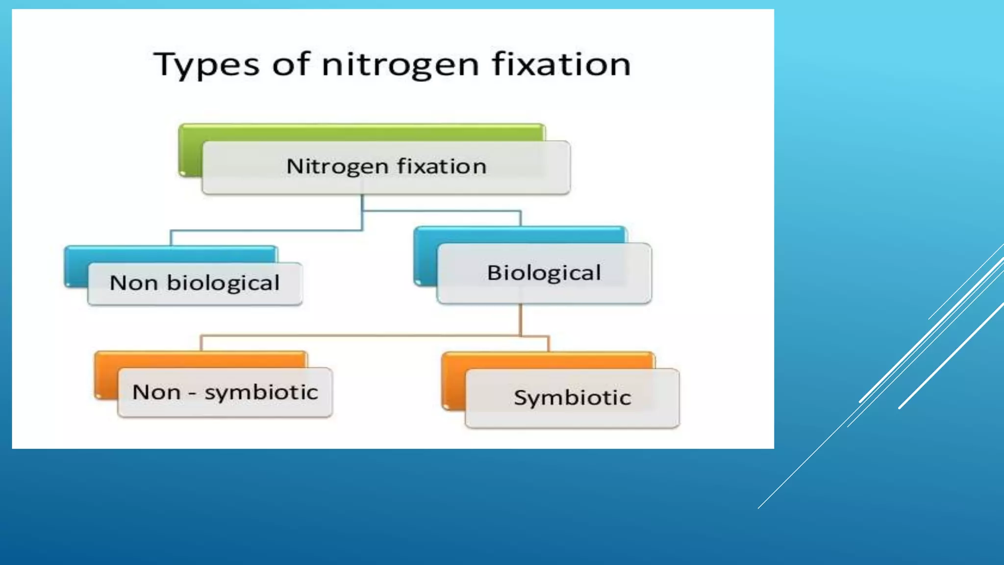 Nitrogen fixation, | PPT