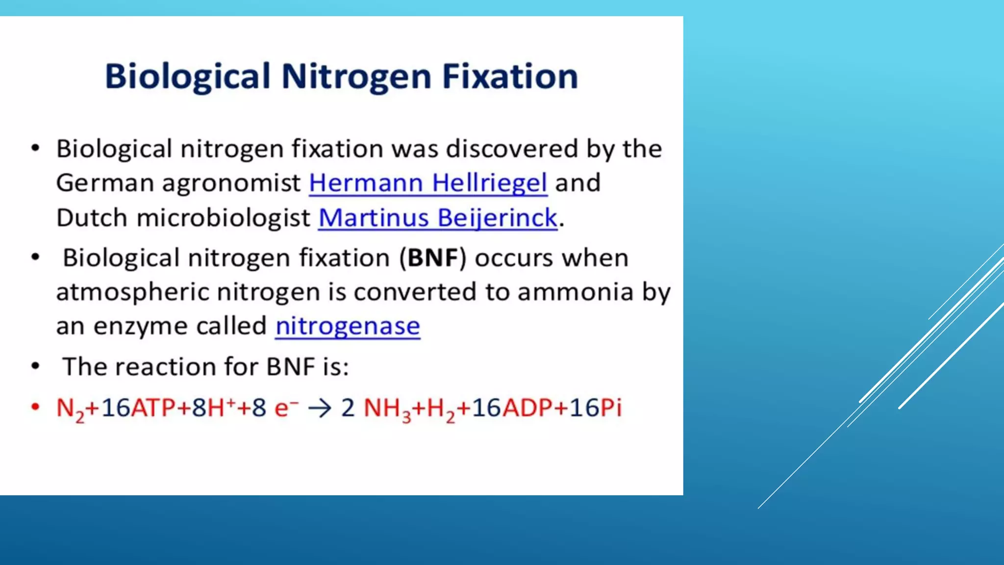 Nitrogen fixation, | PPT