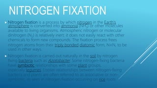 Nitrogen fixation, | PPT
