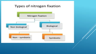 Nitrogen fixation, | PPT