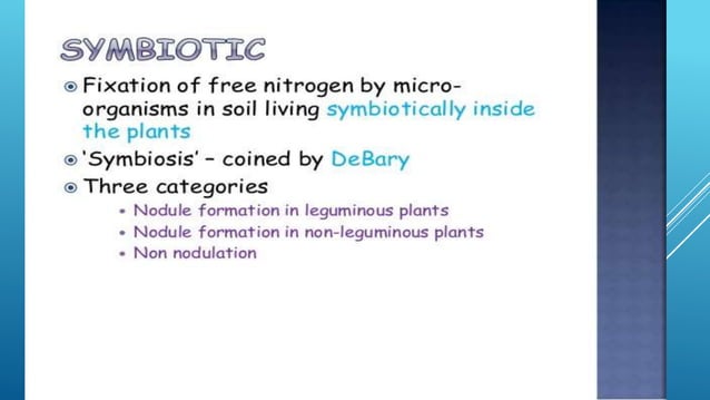 Nitrogen fixation, | PPT