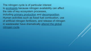 Nitrogen fixation, | PPT