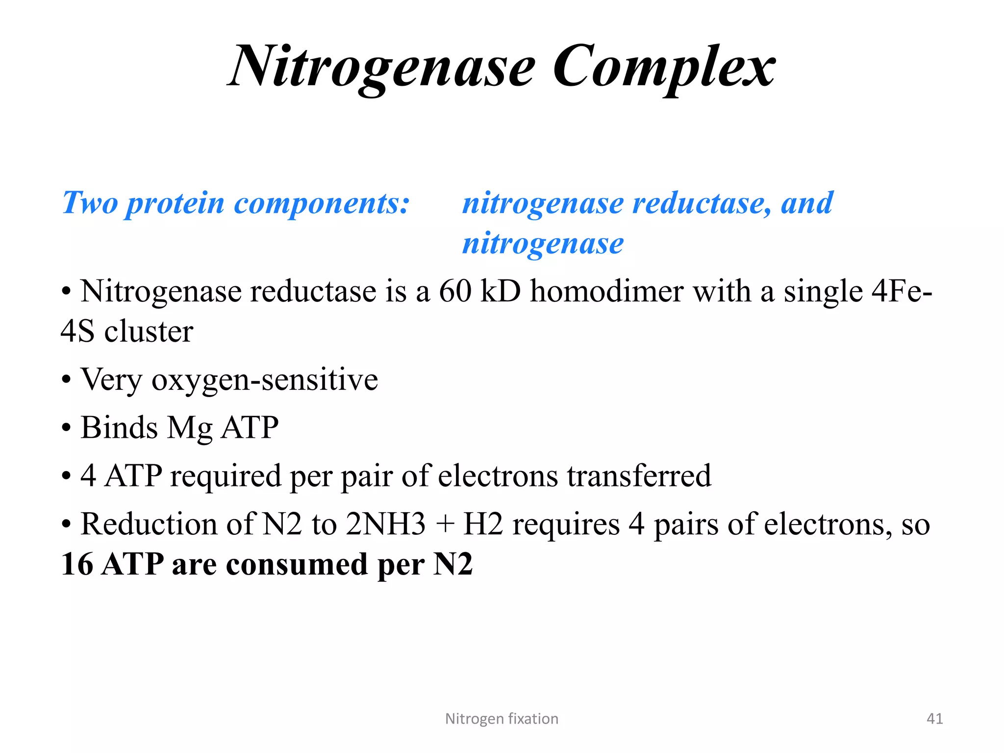 Nitrogen fixation | PPTX