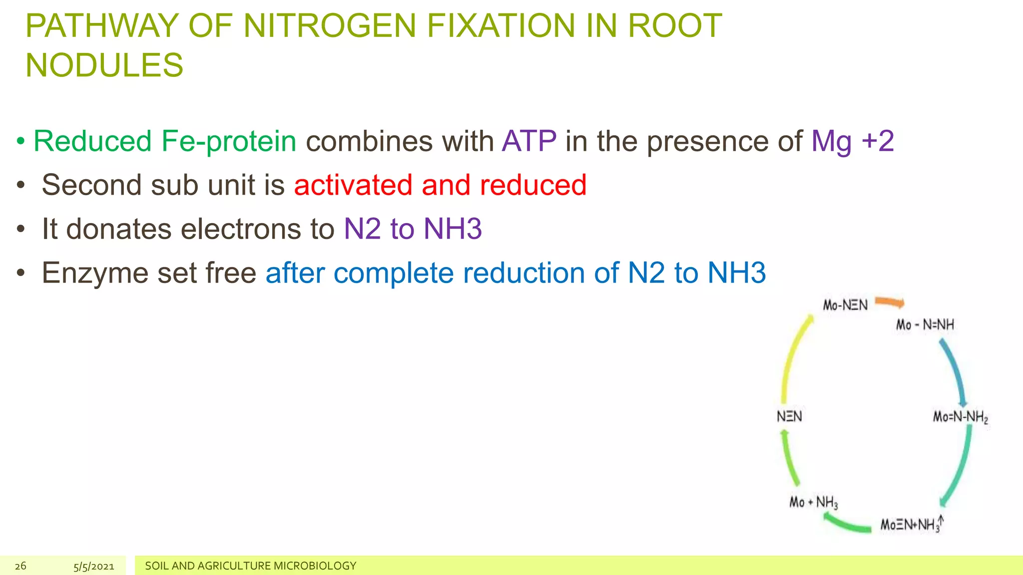 Nitrogen fixation | PPTX