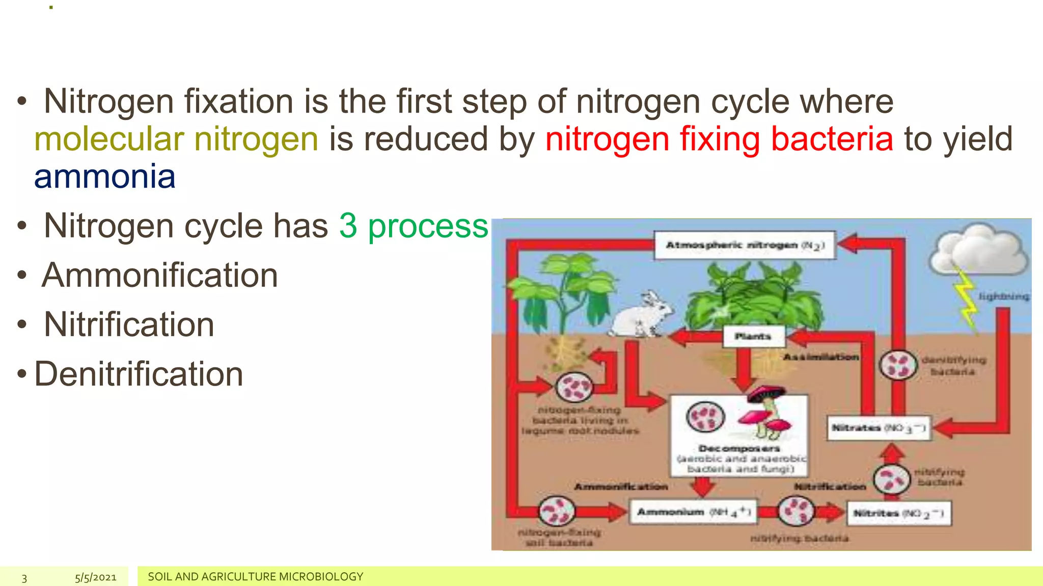 Nitrogen fixation | PPTX