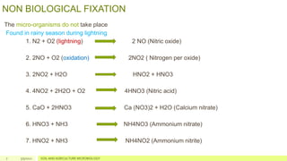 Nitrogen fixation | PPTX