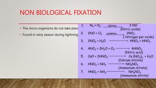 Nitrogen fixation ,biological, non biological #nitrogen fication nodule ...