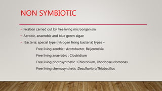 Nitrogen fixation ,biological, non biological #nitrogen fication nodule ...