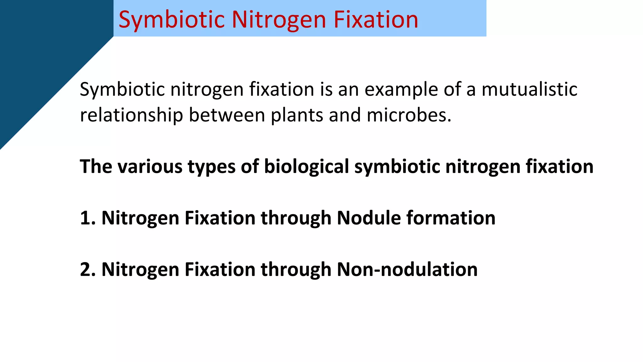 Nitrogen fixation..Ajit Kumar Singh.pptx