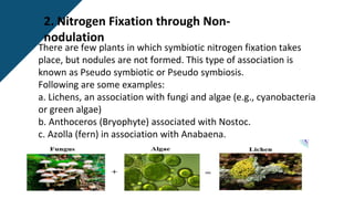 Nitrogen fixation..Ajit Kumar Singh.pptx